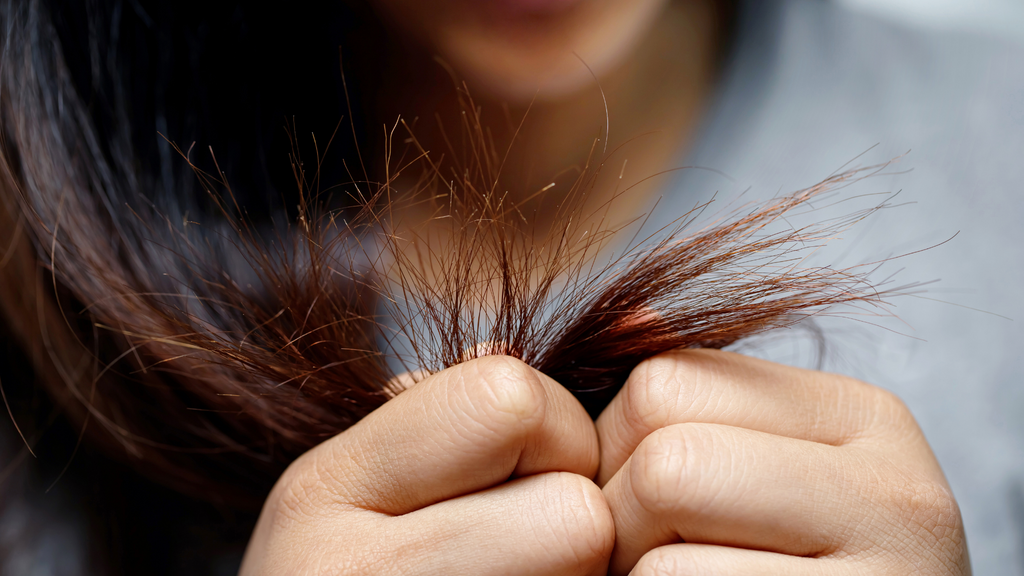 Solutions capillaires naturelles pour éviter les cheveux fourchus – Reborn